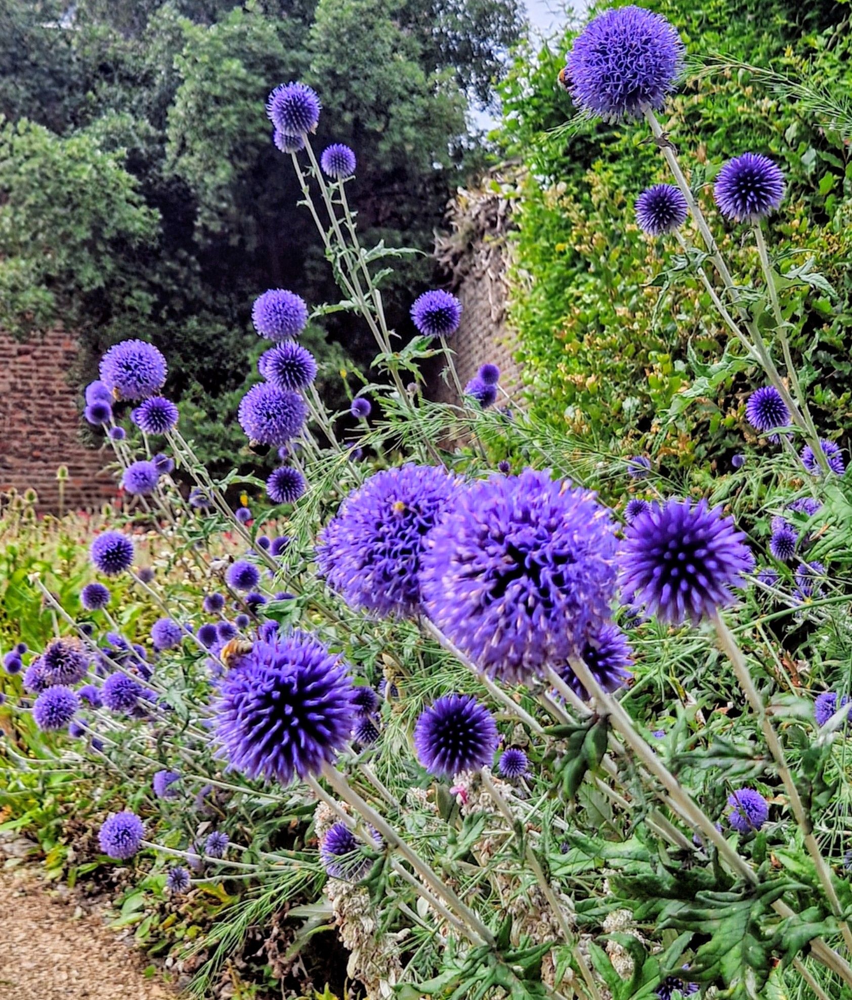Spend time with nature – McKen's Masterclass Resources